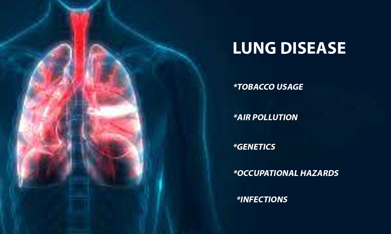 Lung Disease: Causes and Treatments - mehkan.com